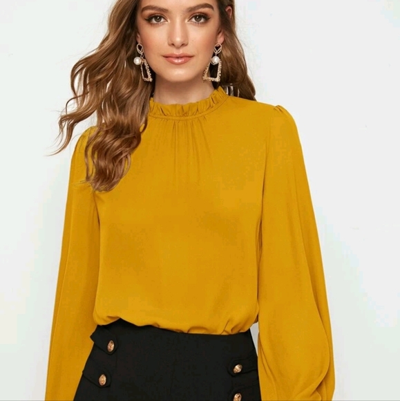 Shein Tops New Beautiful Frilled Neck Bishop Sleeve Blouse Xl